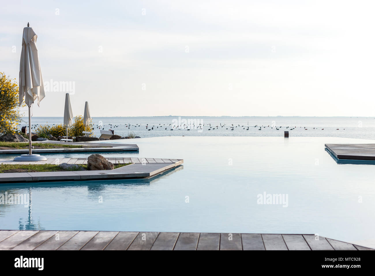 Club pool hi-res stock photography and images - Alamy