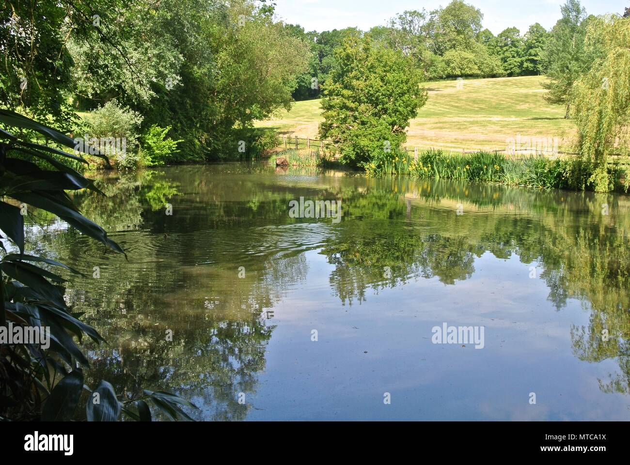Stunning english lake, west sussex Stock Photo - Alamy