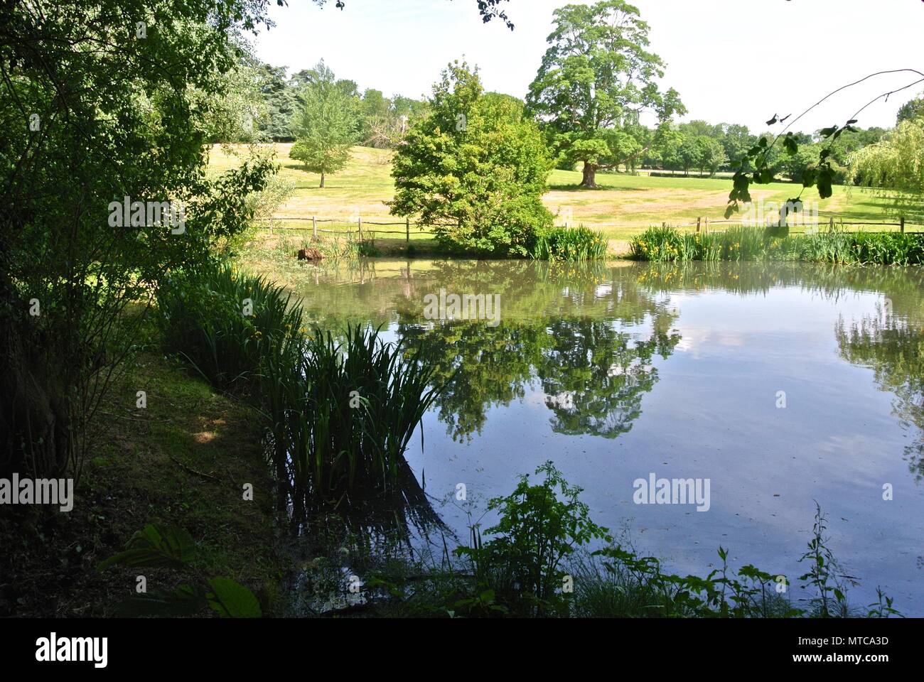 Stunning english lake, west sussex Stock Photo - Alamy