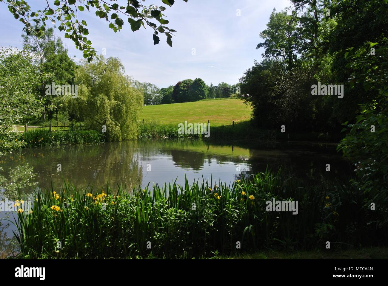Stunning english lake, west sussex Stock Photo - Alamy