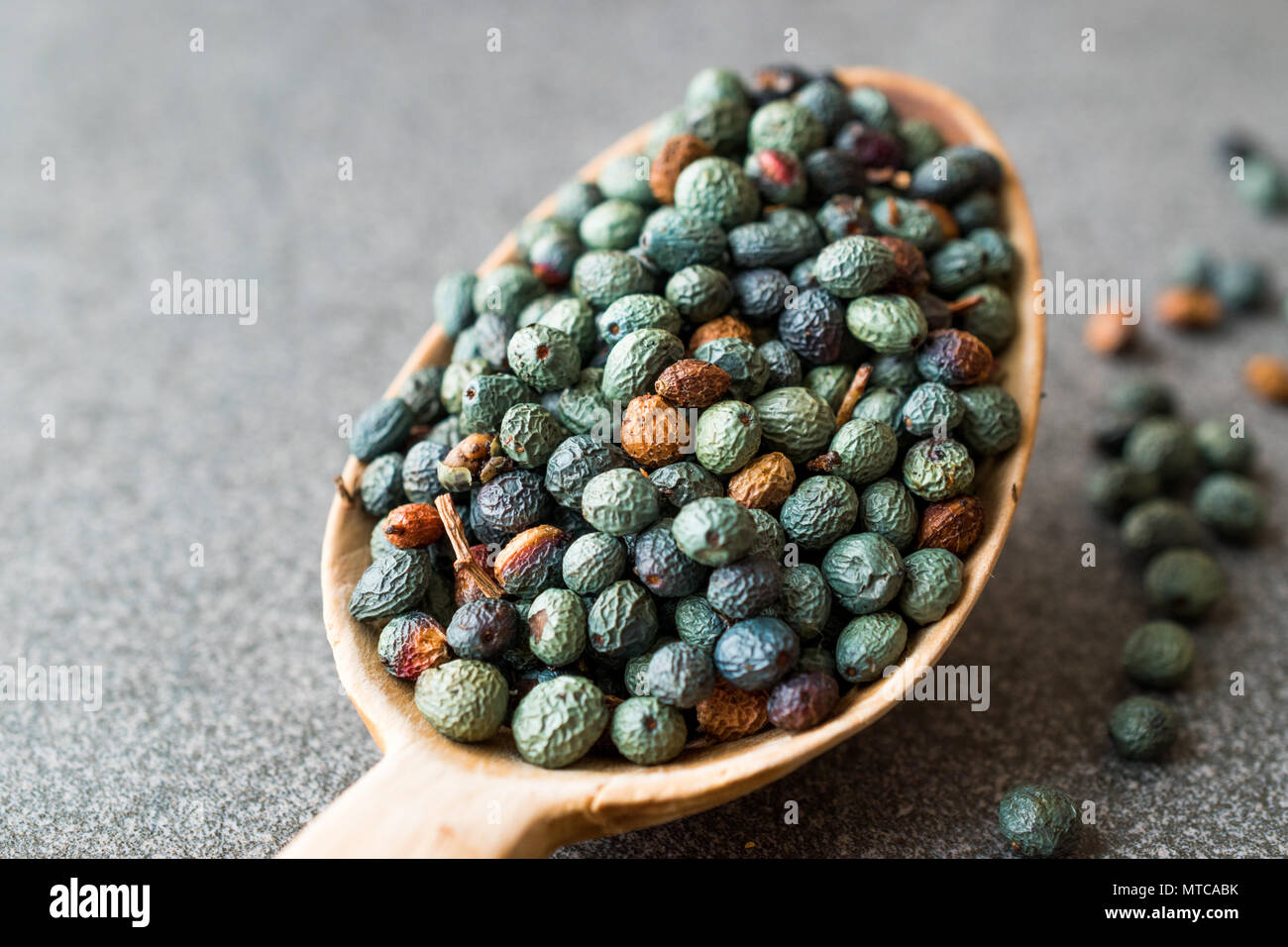 Hackberry Tree Seed