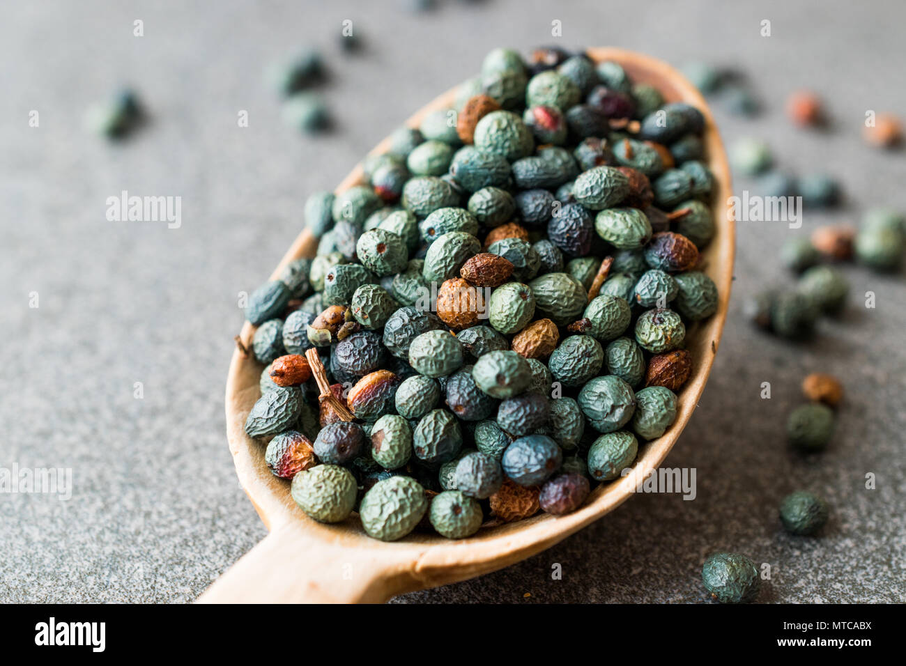 Celtis occidentalis tree hi-res stock photography and images - Alamy