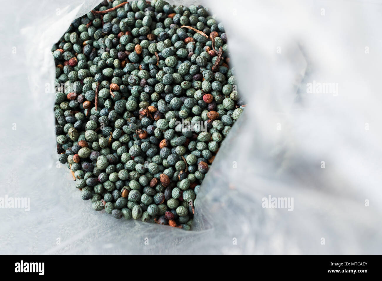 Citlembik / Northern Hackberry Seeds / Terebinth Berry / Celtis ...