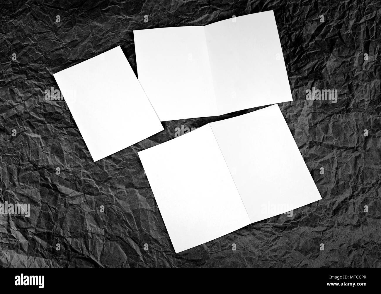 Identity design, corporate templates, company style, blank white ...