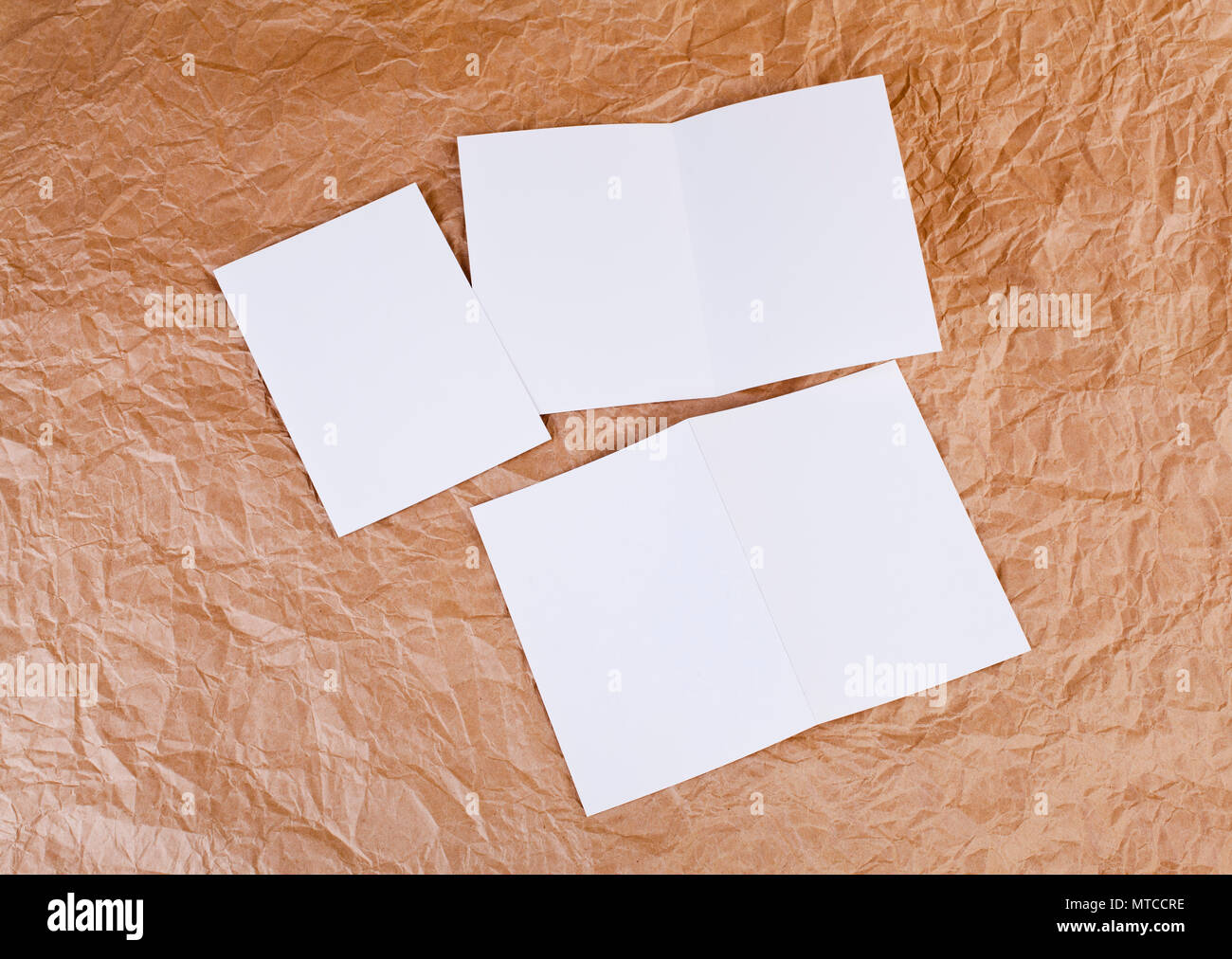 Identity design, corporate templates, company style, blank white ...