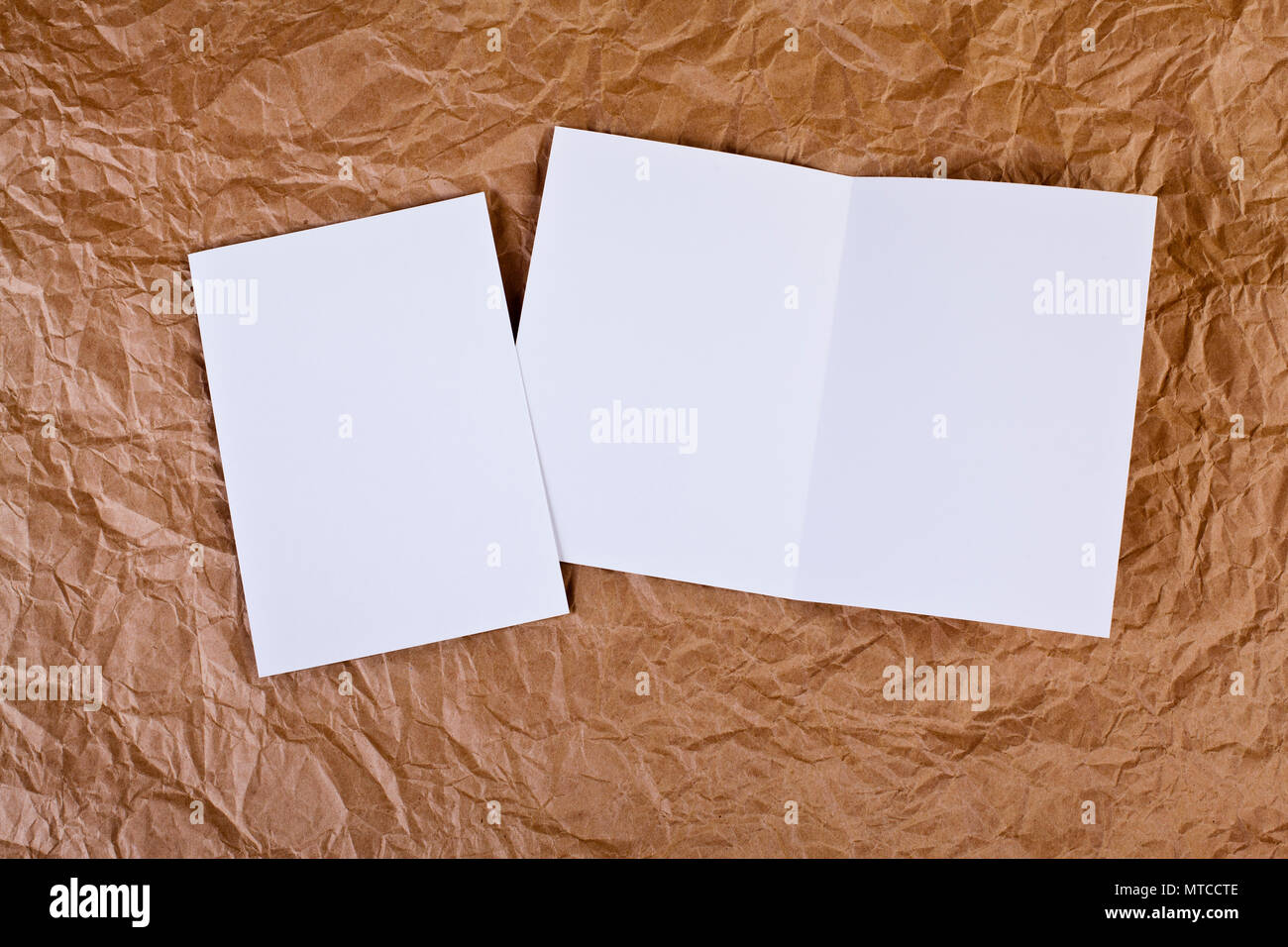 Identity design, corporate templates, company style, blank white ...
