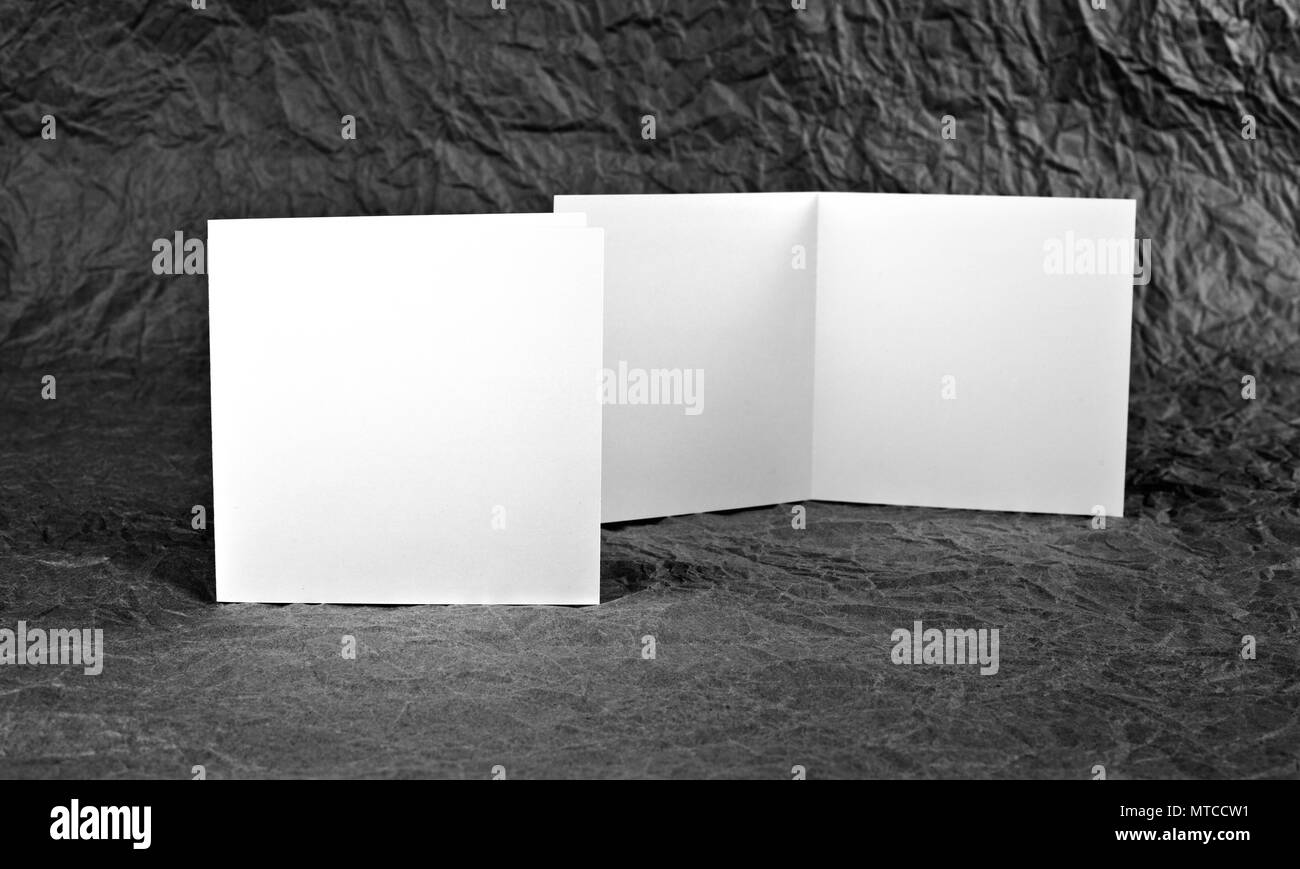 Identity design, corporate templates, company style, blank white ...