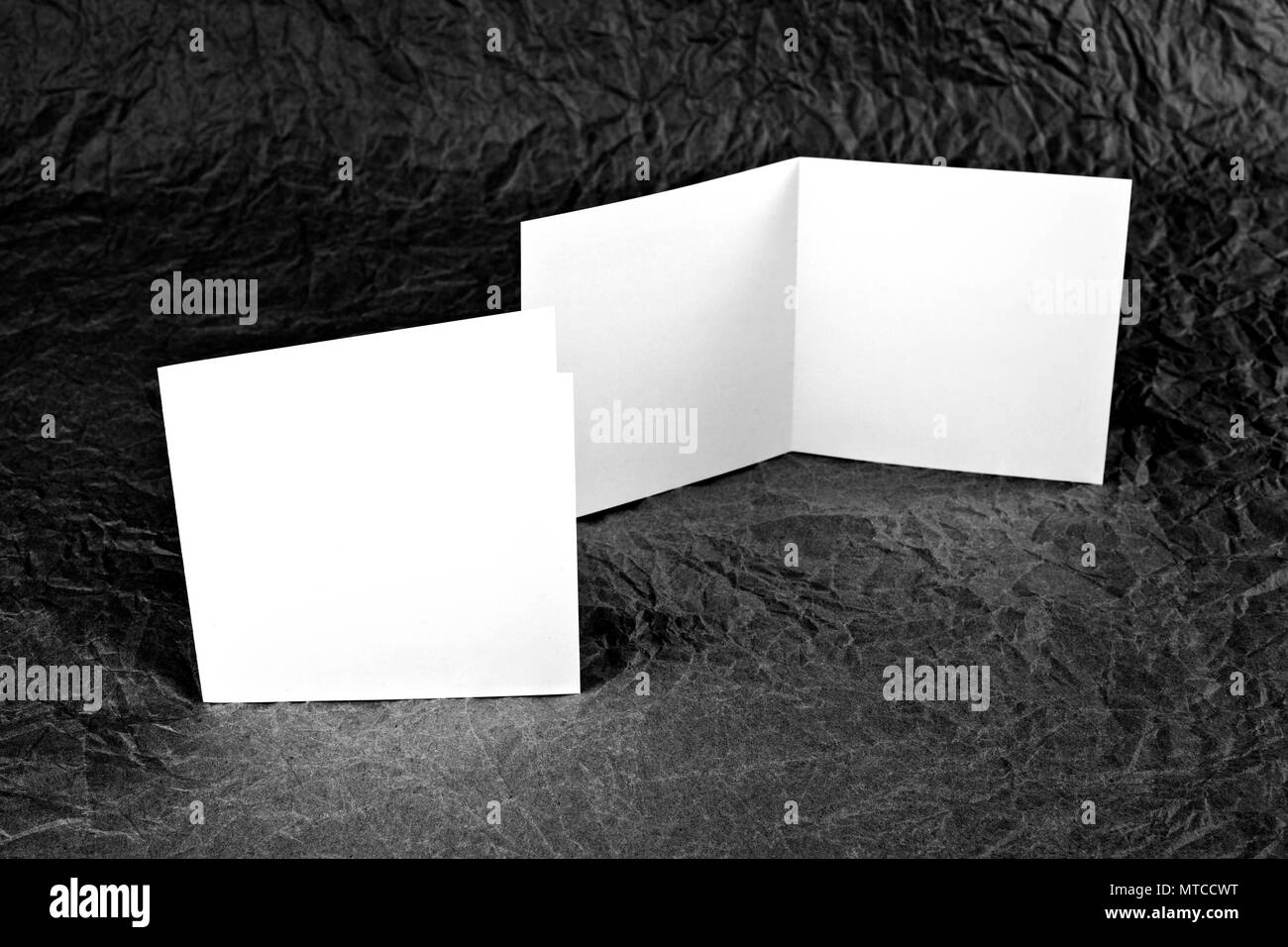 Identity design, corporate templates, company style, blank white ...