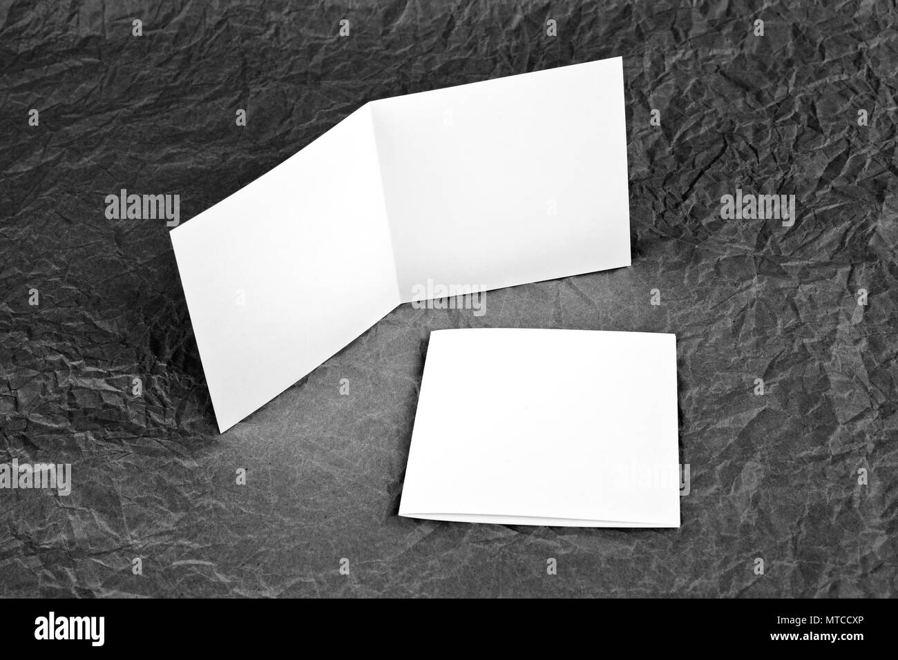 Identity design, corporate templates, company style, blank white ...