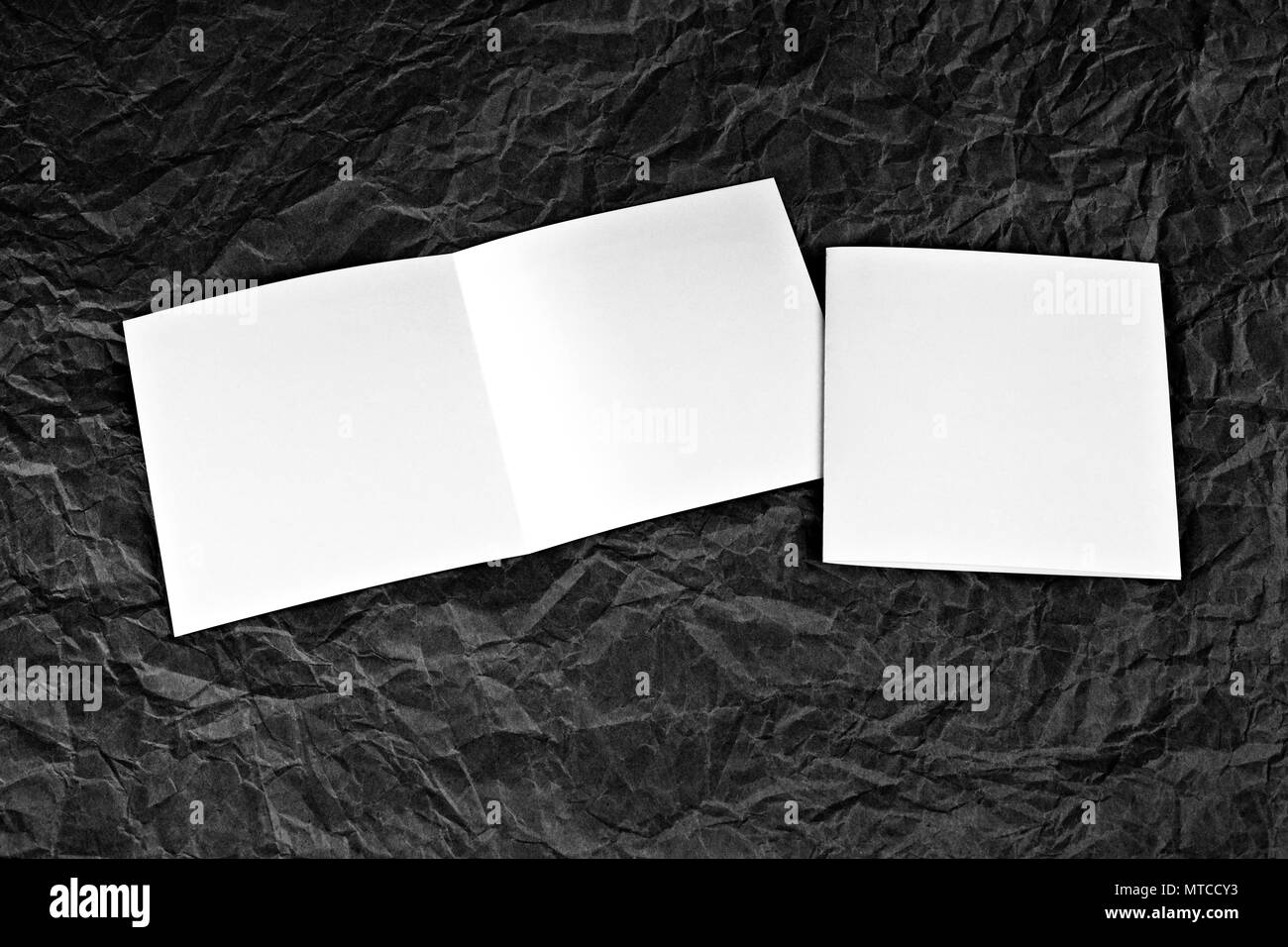 Identity design, corporate templates, company style, blank white ...