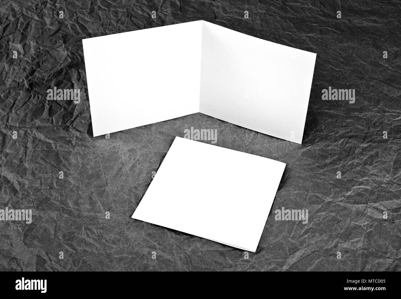 Identity design, corporate templates, company style, blank white ...