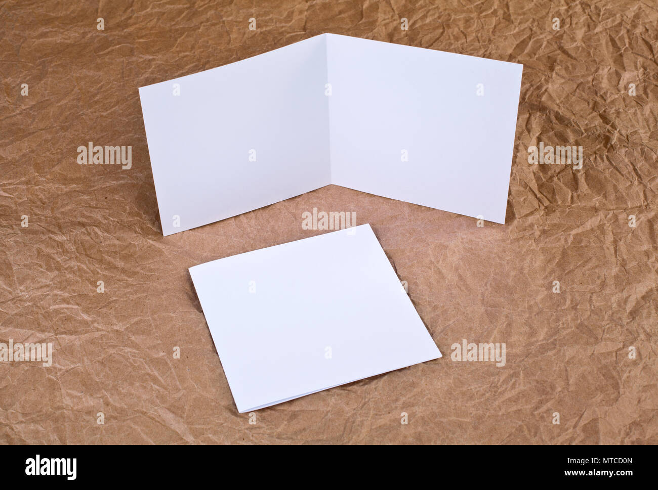 Identity design, corporate templates, company style, blank white ...