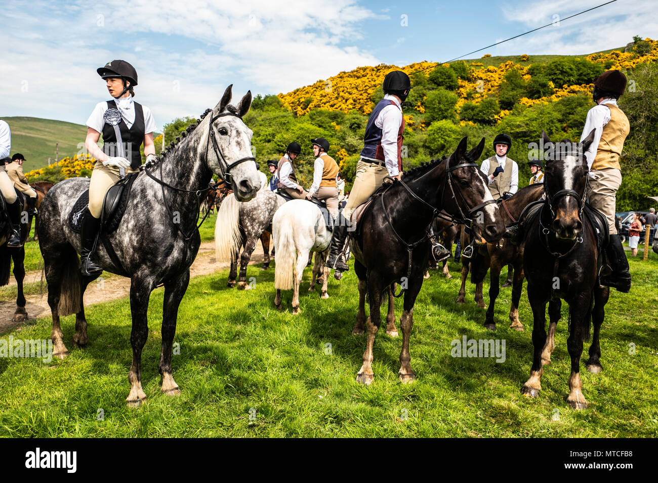 Scottish Lass High Resolution Stock Photography and Images - Alamy