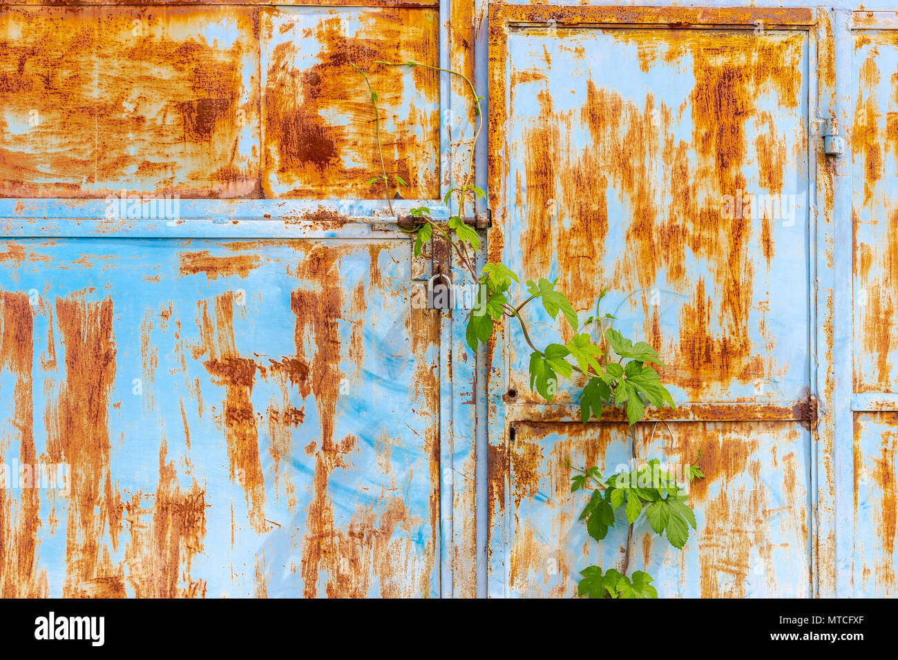 Old rusty door for use as a background Stock Photo - Alamy