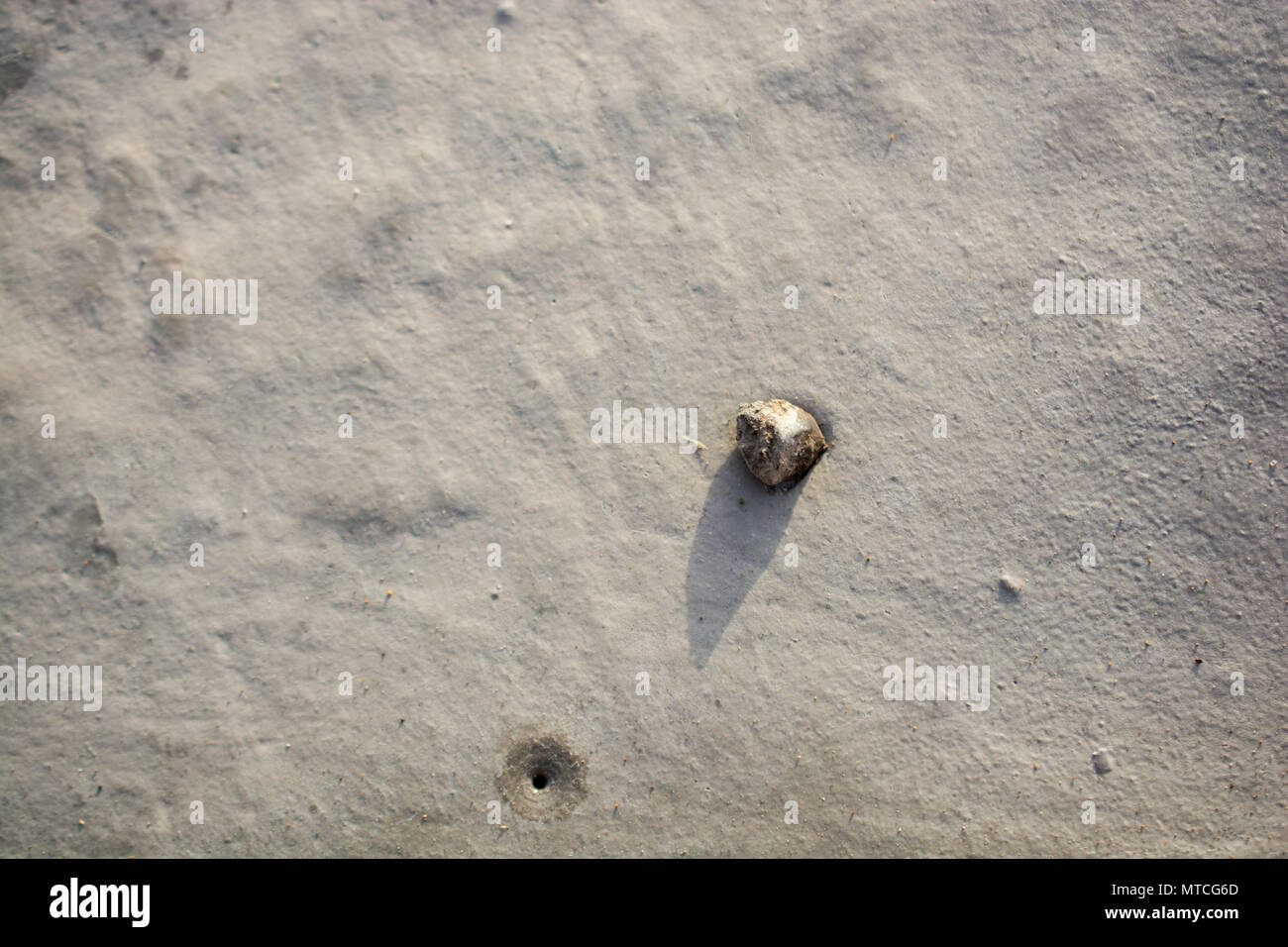 Patterns on a freshly poured concrete surface Stock Photo - Alamy