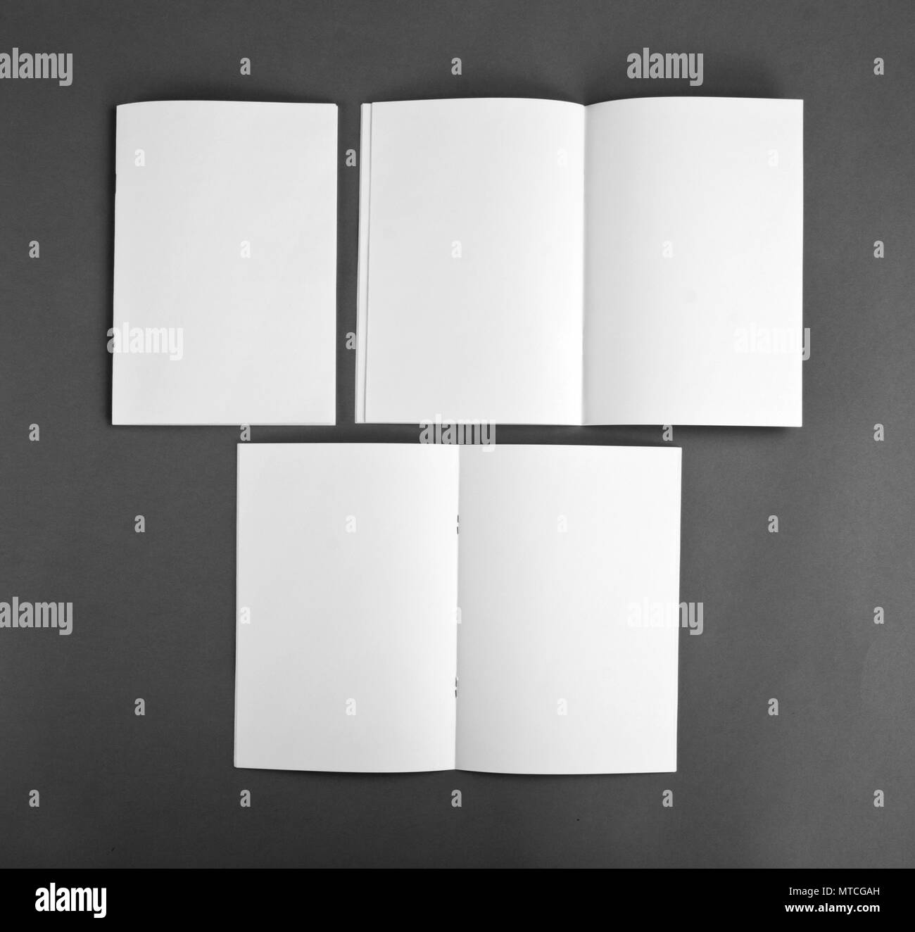 Blank catalog, brochure, magazines, book mock up. Blank magazine on ...
