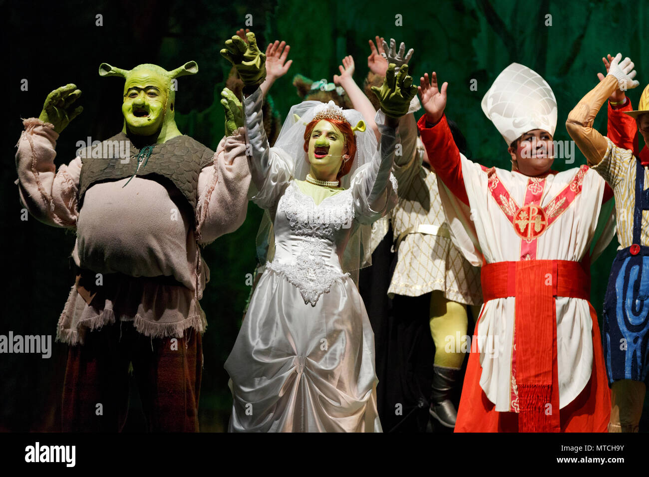 Shrek The Musical Broadway Logo