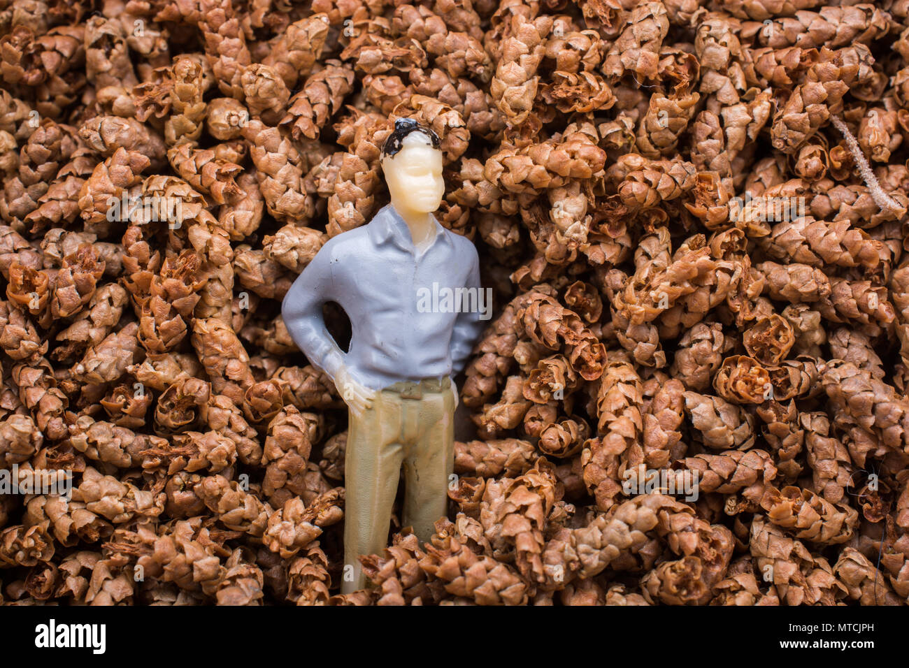 Little tiny man figurine in view Stock Photo - Alamy