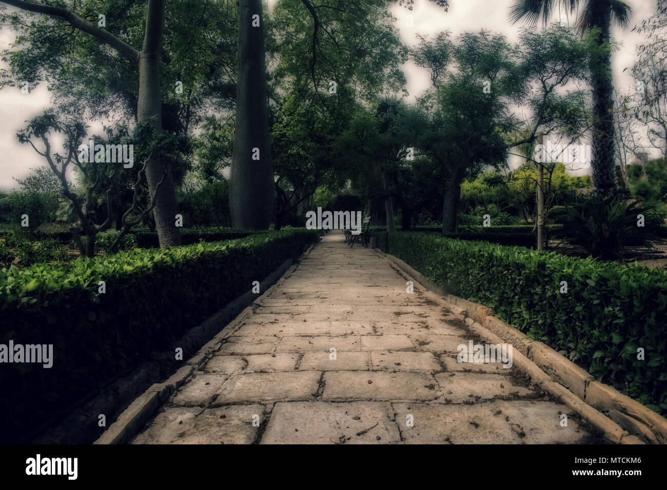 Classical pathway hi-res stock photography and images - Alamy