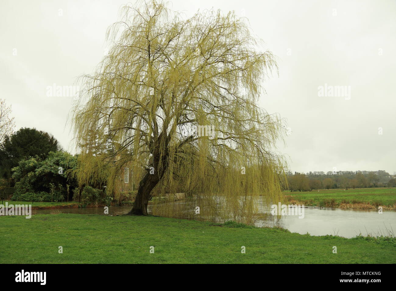 Water meadow salisbury hi-res stock photography and images - Alamy
