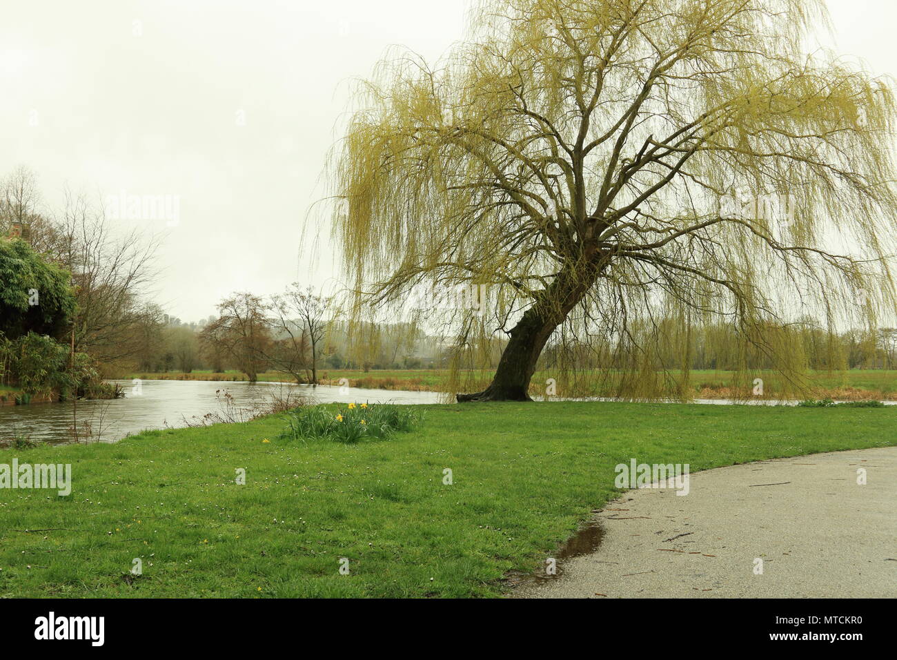 Water meadow salisbury hi-res stock photography and images - Alamy