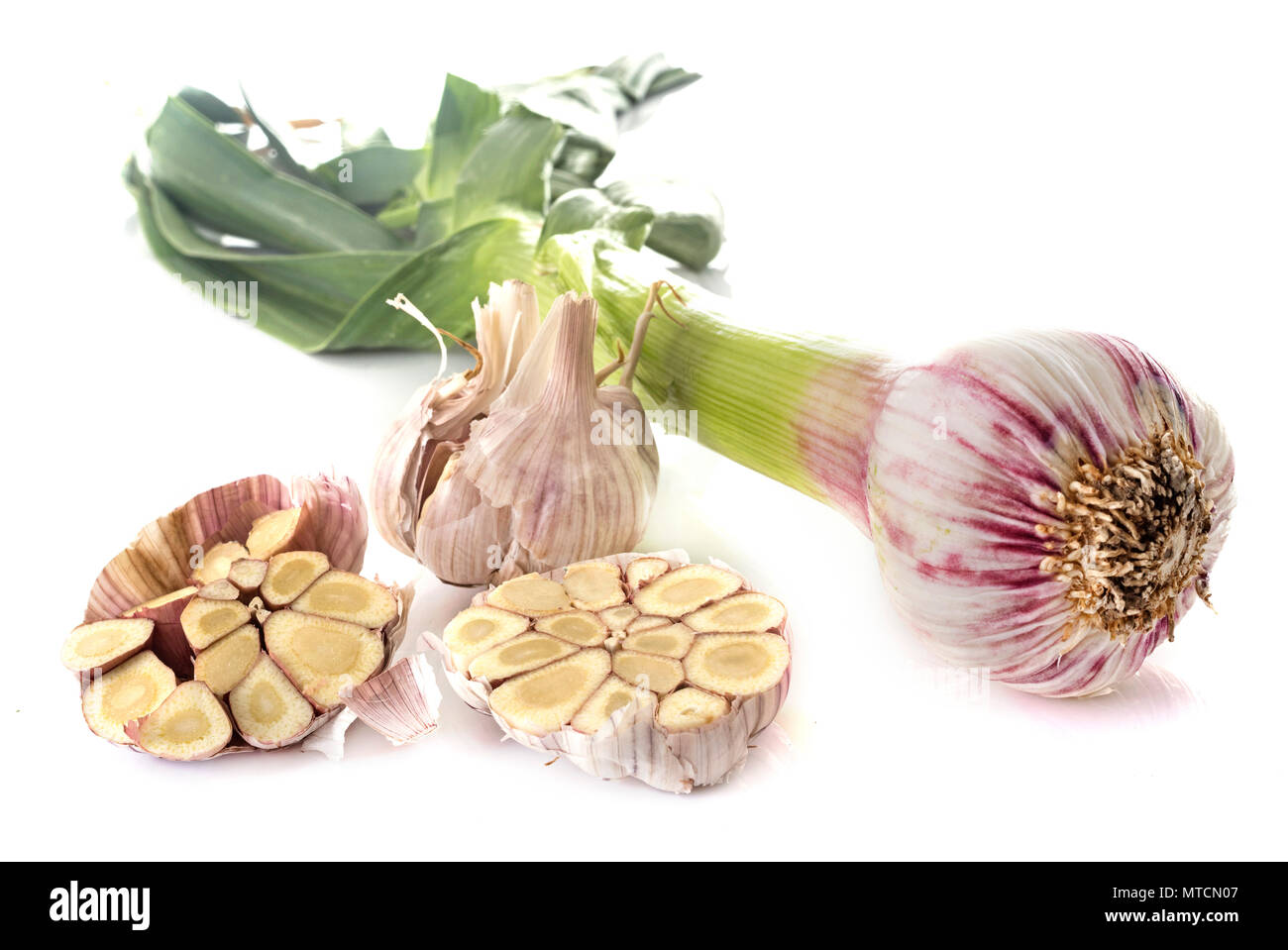 fresh garlic in front of white background Stock Photo - Alamy