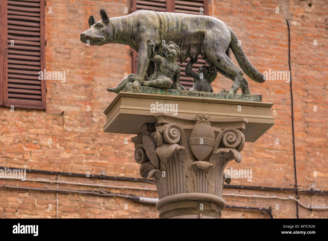 Capitoline wolf statue hi-res stock photography and images - Alamy