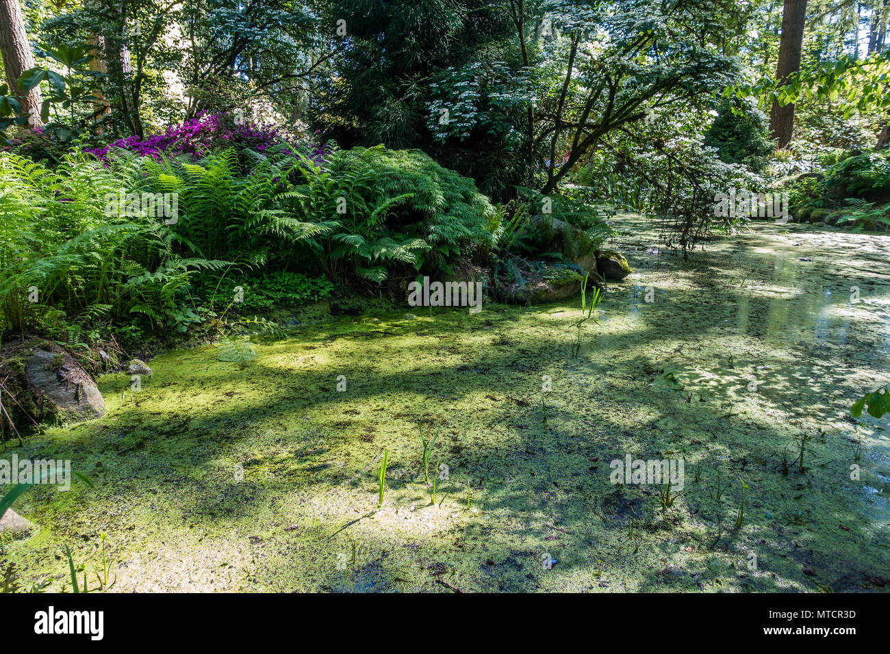 Federal pond hi-res stock photography and images - Alamy