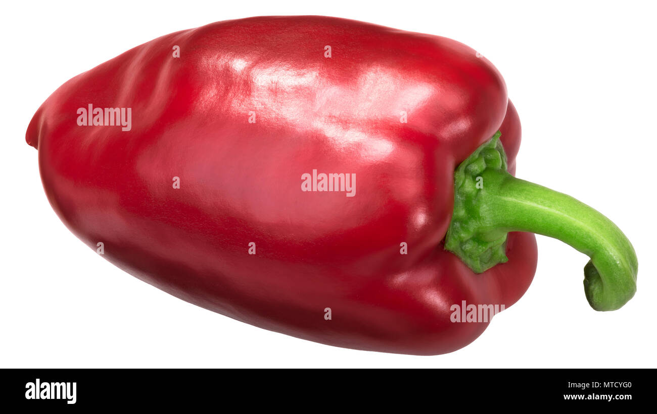 Bell Pepper In Spanish Translation at Rory Barbour blog