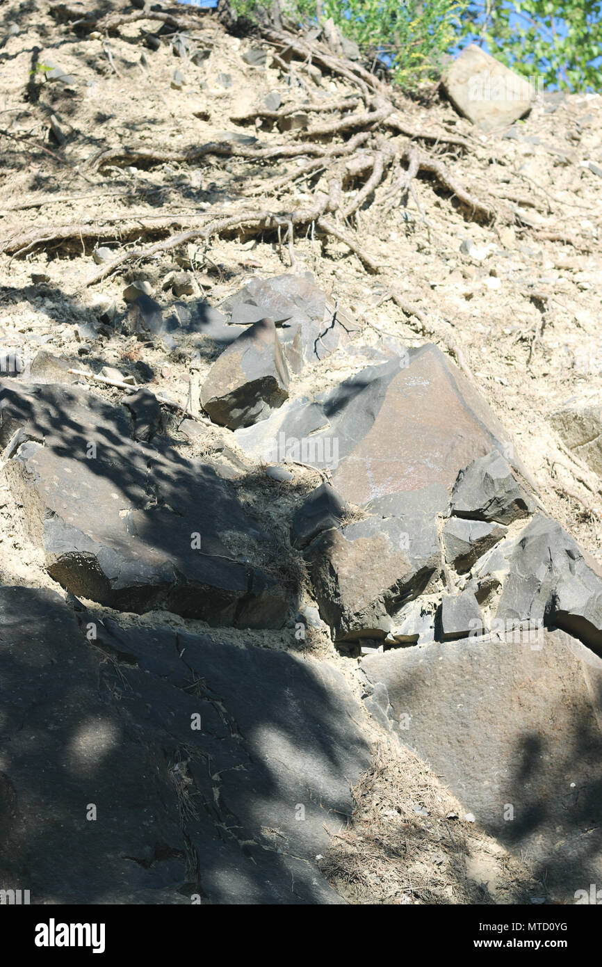Basalt columns landscape rock background and tree roots Stock Photo - Alamy
