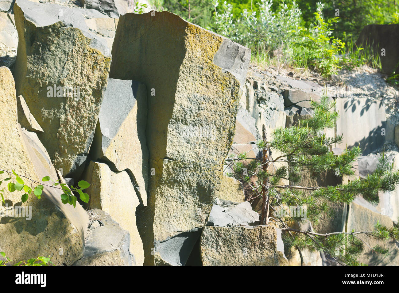 Basalt columns landscape rock background and plants Stock Photo - Alamy