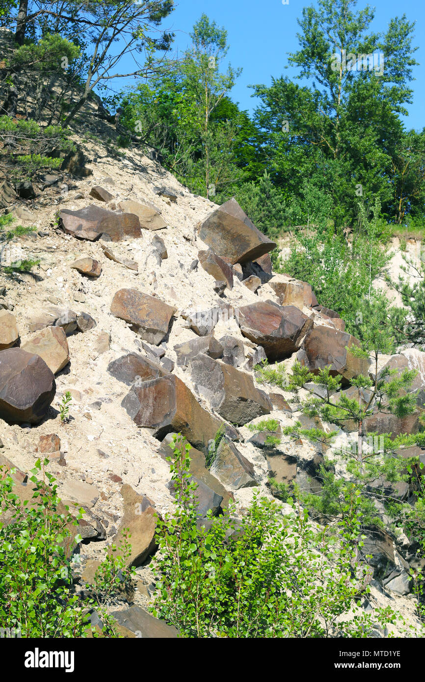 Basalt columns background and tree. Beautiful geological landscape ...