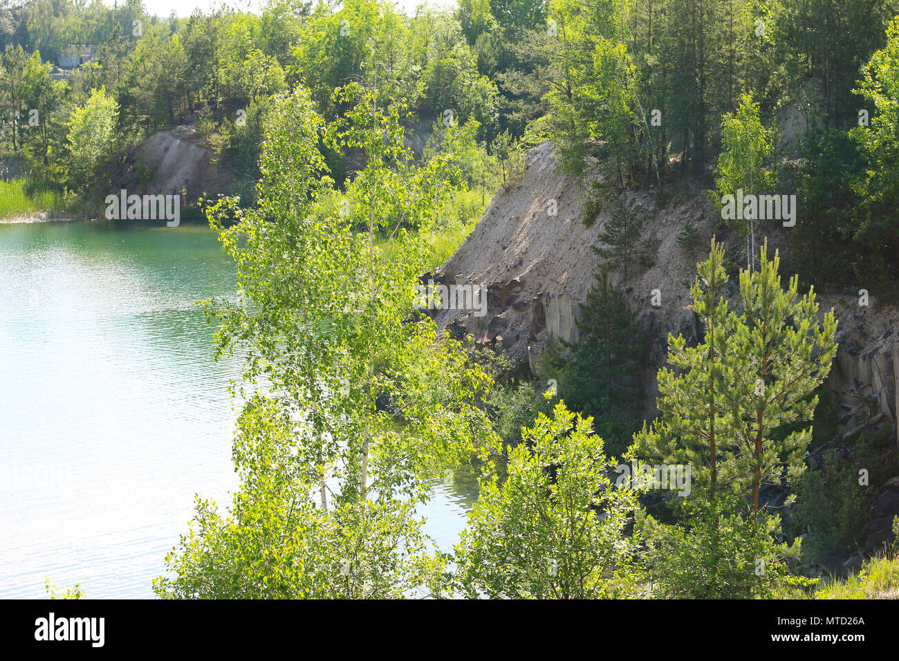 Lake and green trees view from above. Beautiful sunny landscape Stock ...