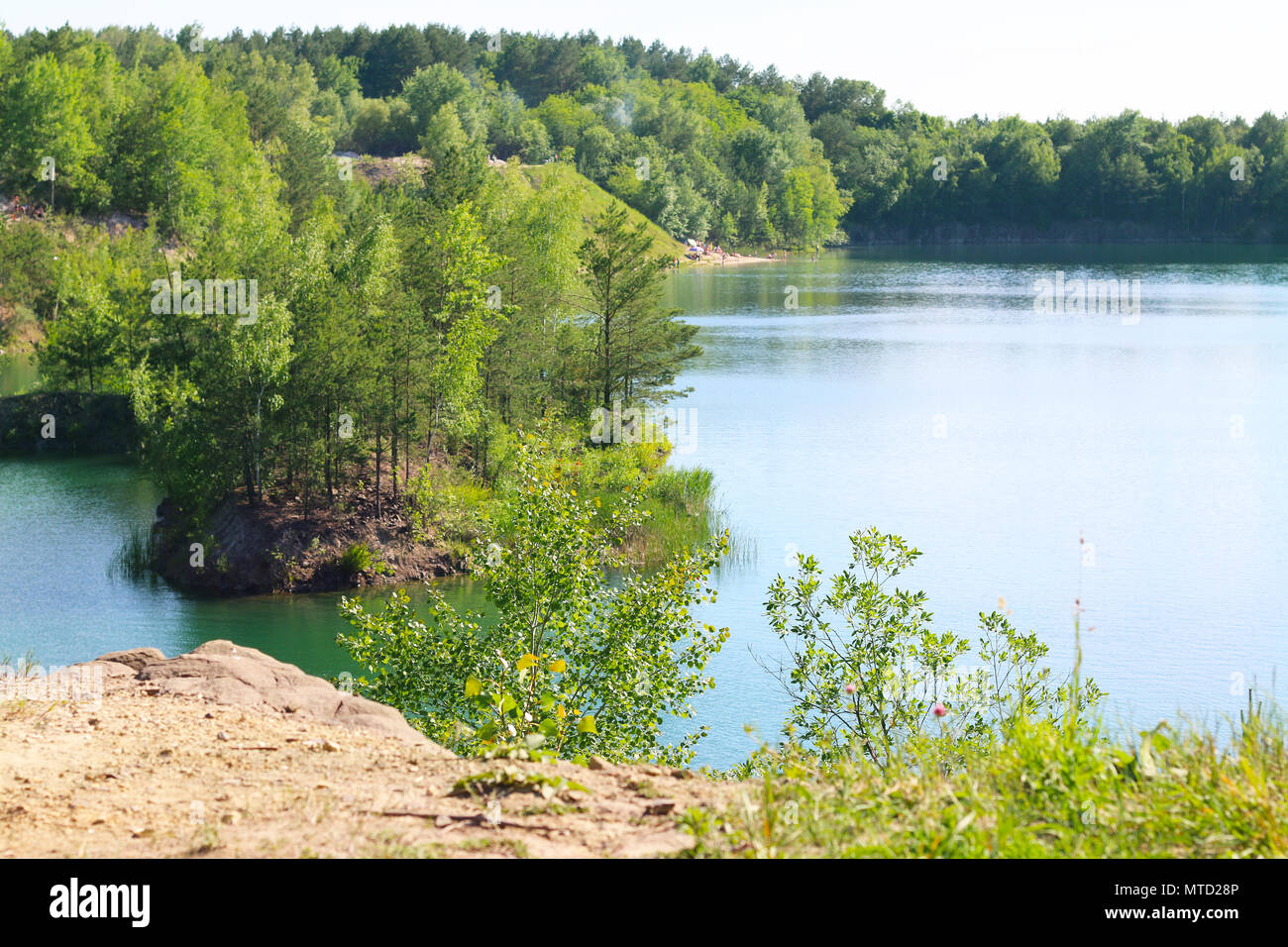 Lake island and green forest trees view from above. Beautiful sunny ...