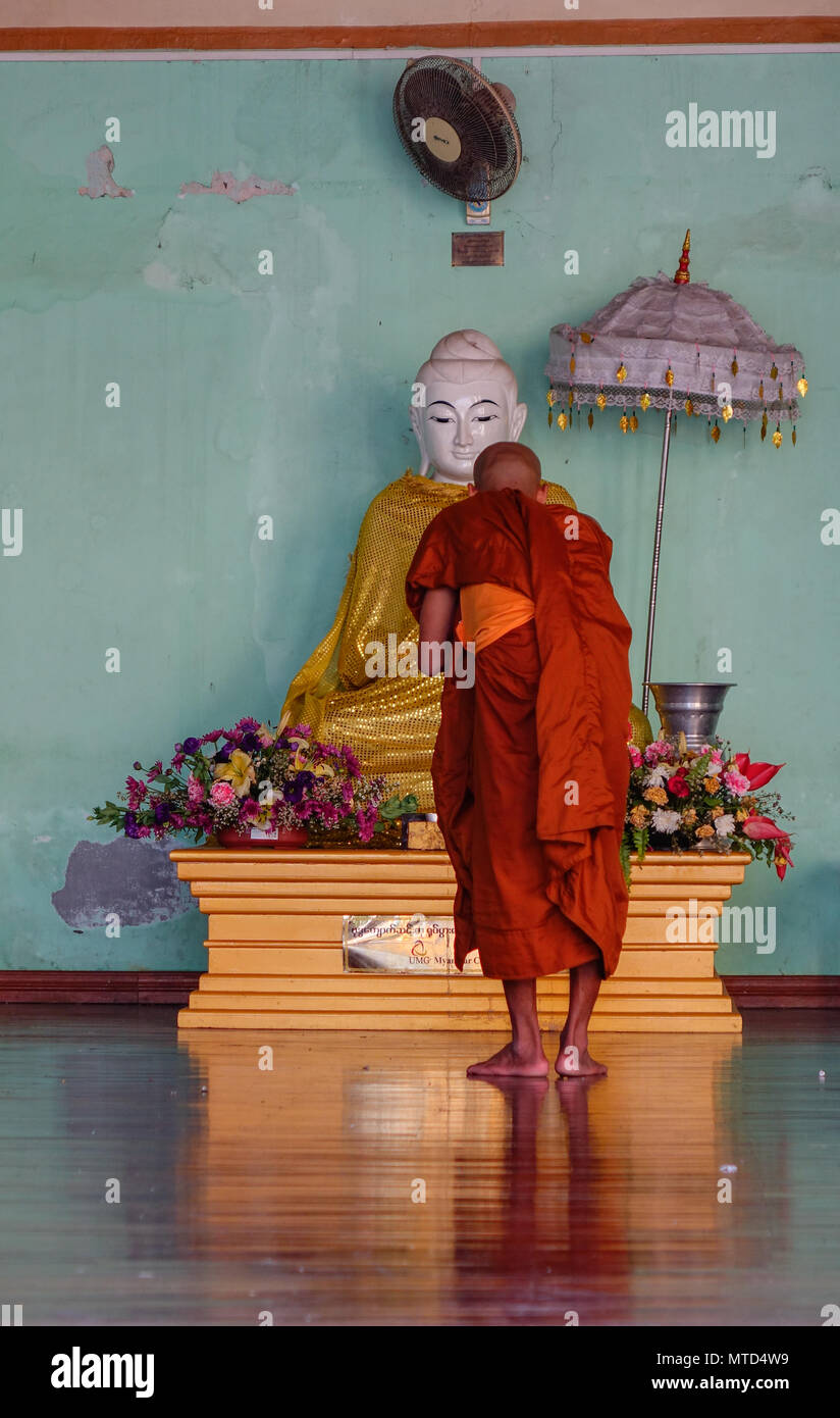 Yangon, Myanmar - Feb 26, 2016. A Buddhist monk praying at Shwedagon ...