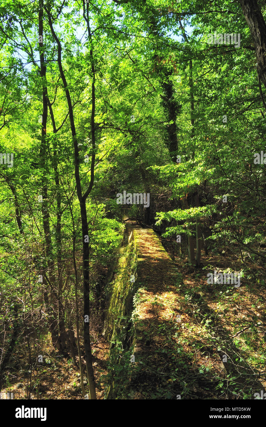 Dam and forest hi-res stock photography and images - Alamy