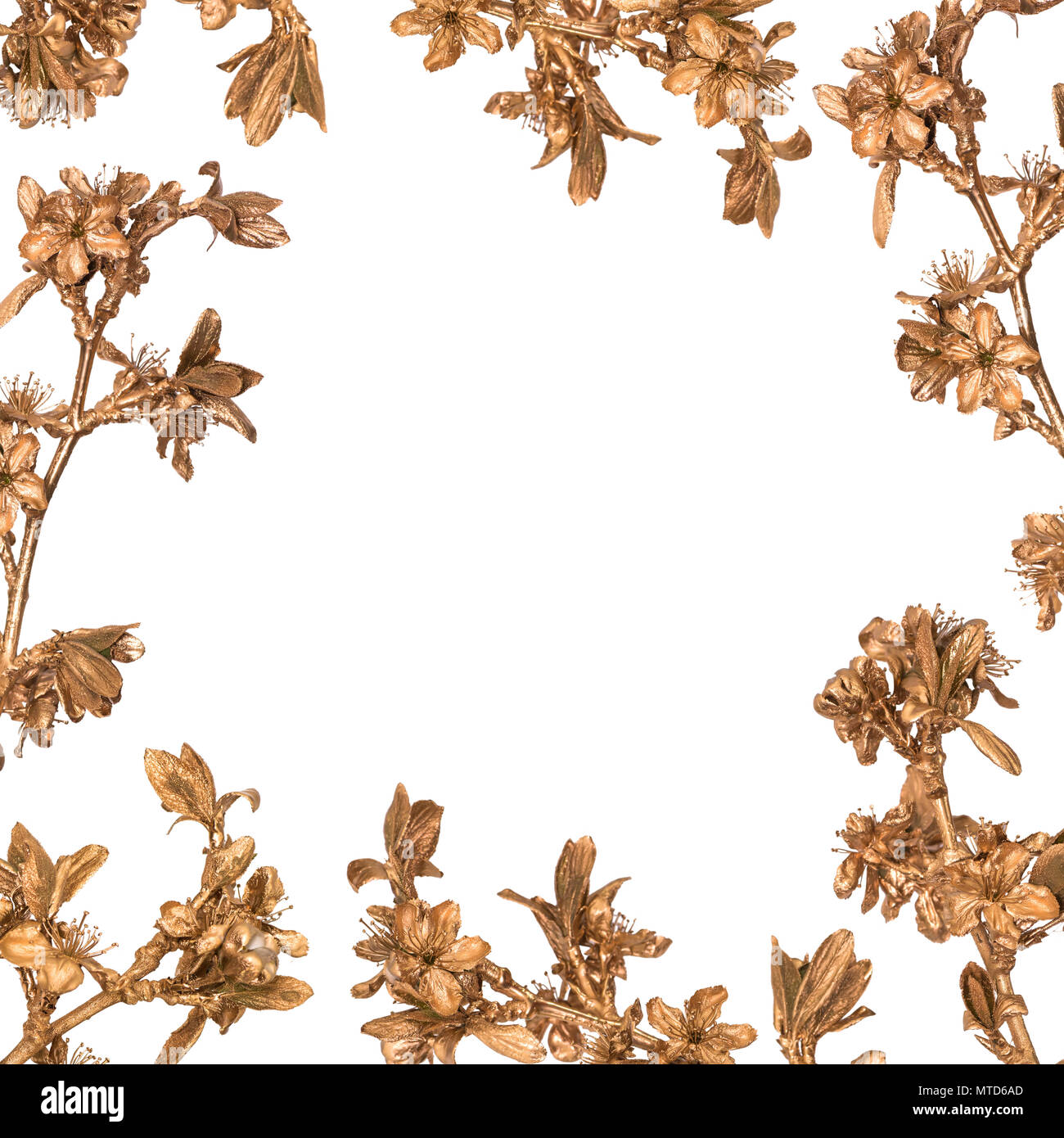 Floral frame made of golden sakura branches on white background. Hand ...