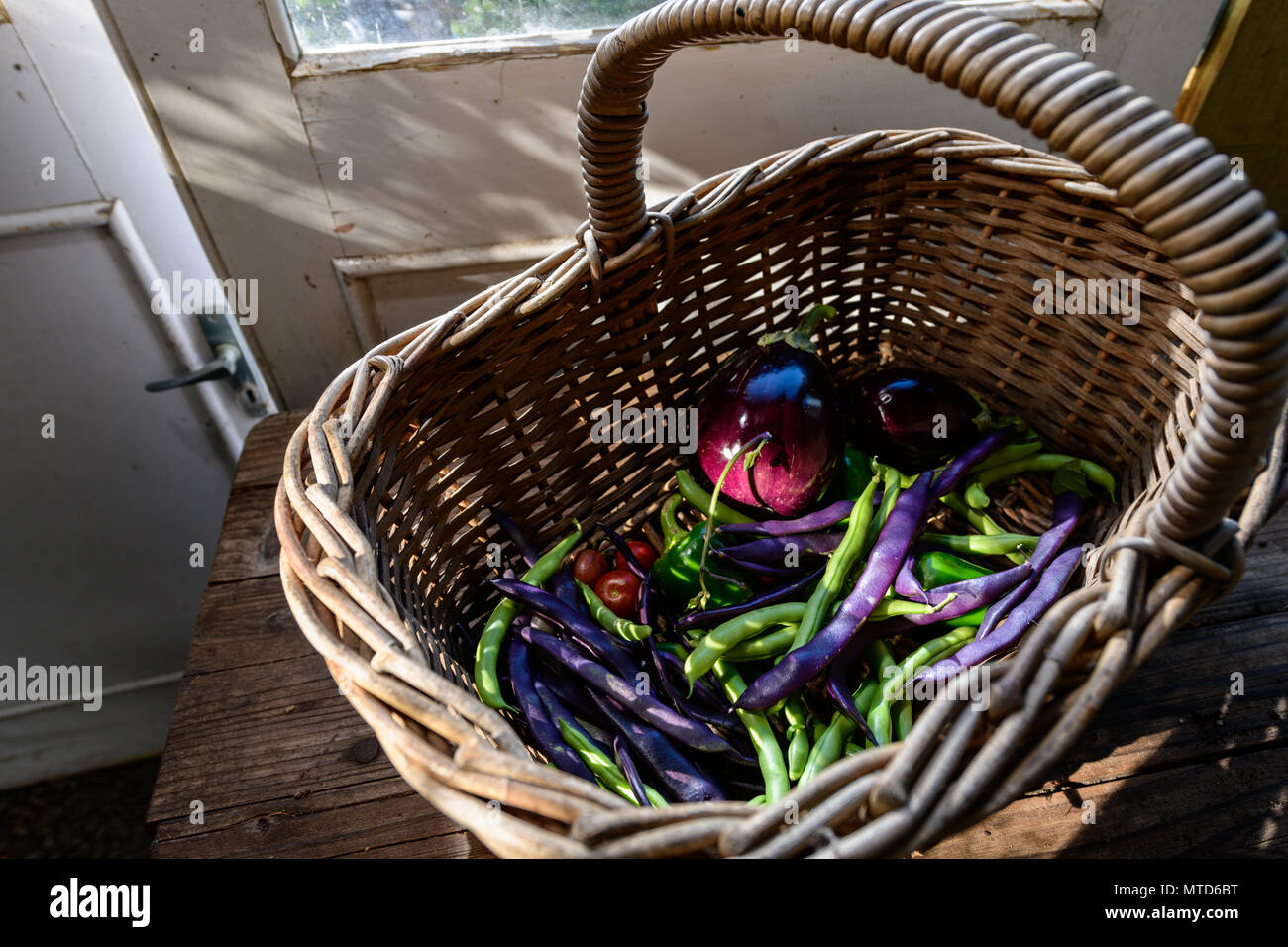 Au bergine hi-res stock photography and images - Alamy