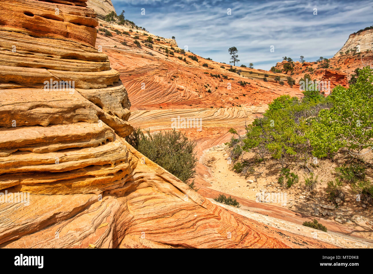 Navajo sandstone texture hi-res stock photography and images - Alamy