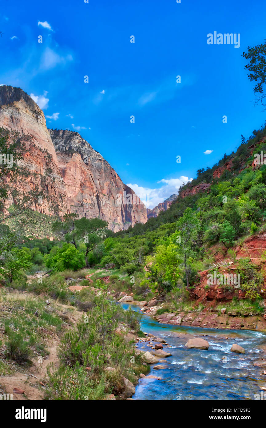 Rambling Virgin River winds its way through Zion National Park Stock ...