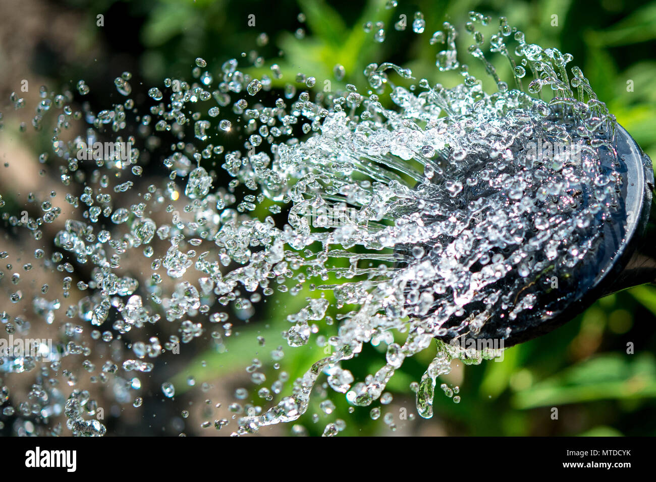 29 May 2018, Germany, Hanover: Water splashes out of a watering can in ...