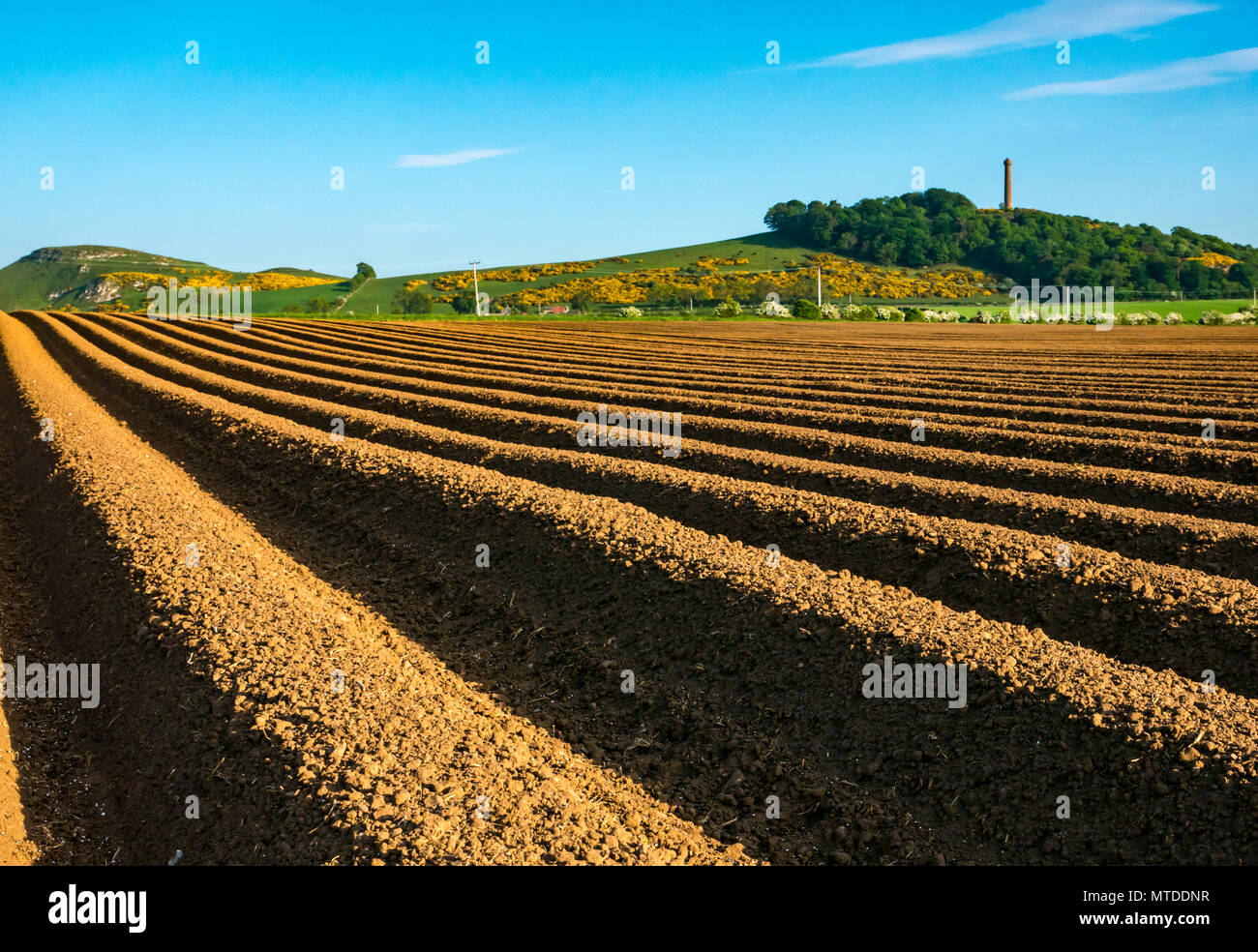 Victorian farm field hi-res stock photography and images - Alamy