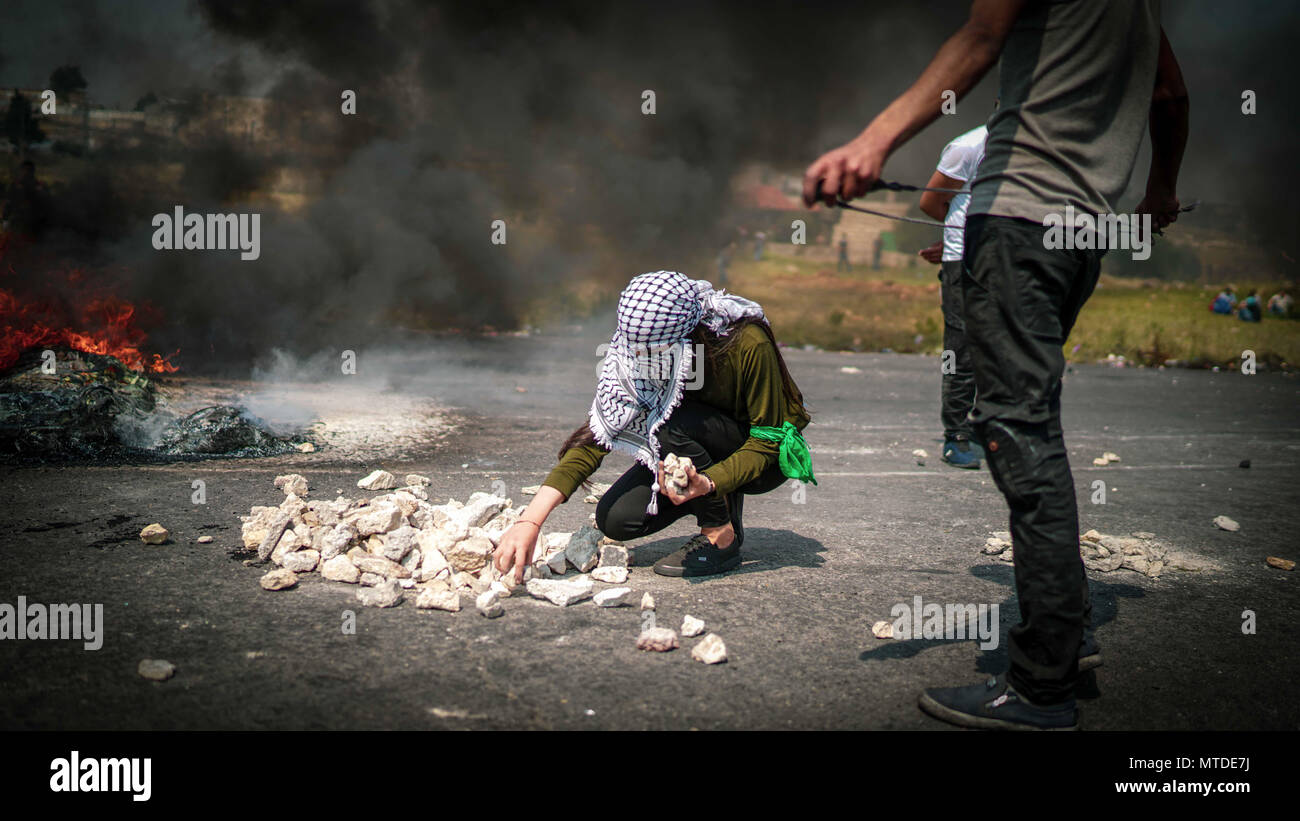 1948 palestinian exodus hi-res stock photography and images - Alamy