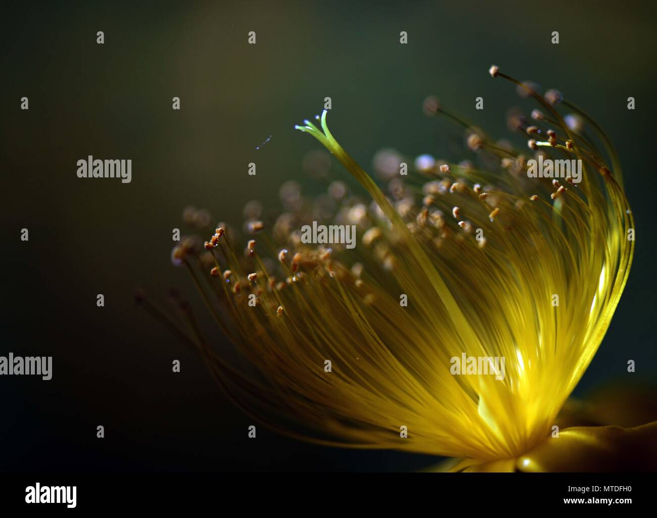 May 29, 2018 - Huai'An, Huai'an, China - Huai'an, CHINA-29th May 2018 ...