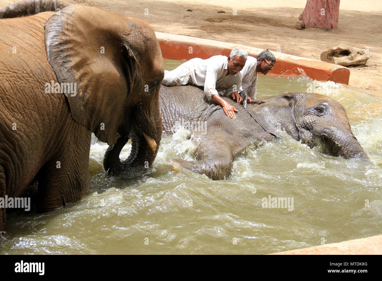 Karachi zoo in karachi hi-res stock photography and images - Alamy