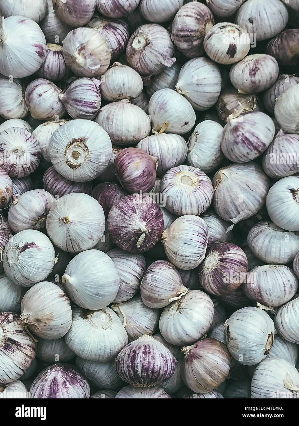 Garlic Photo pattern Many garlic heads are lying on the counter in the ...