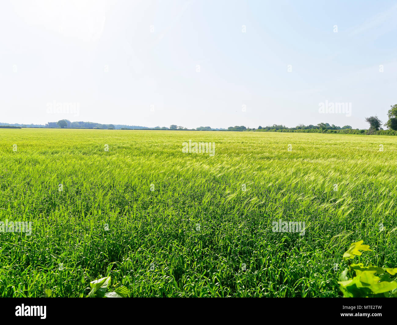 Pale colours in a landscape hi-res stock photography and images - Alamy