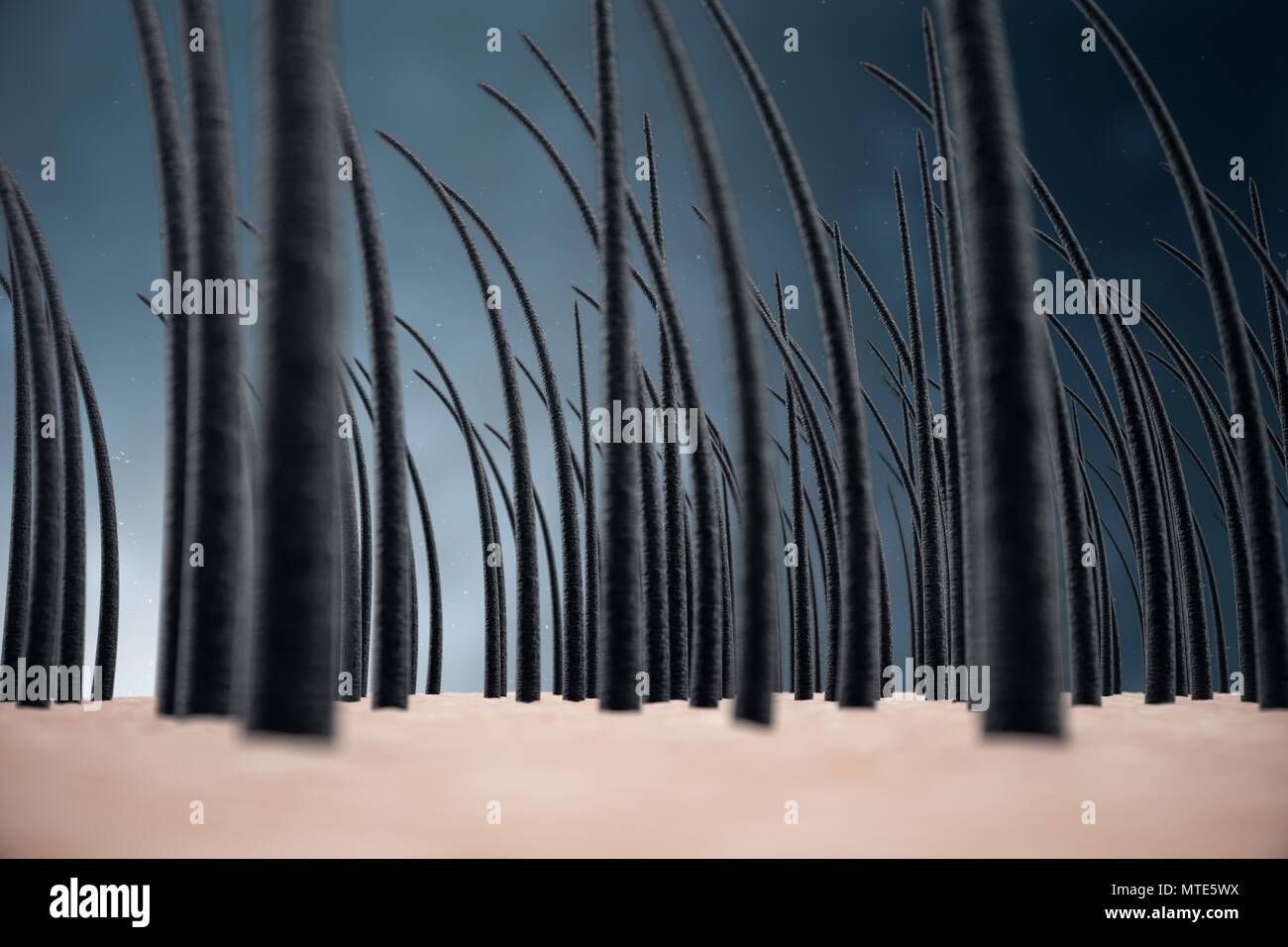 3D Rendering hair keratin strengthening, hair care. Treatment and care ...