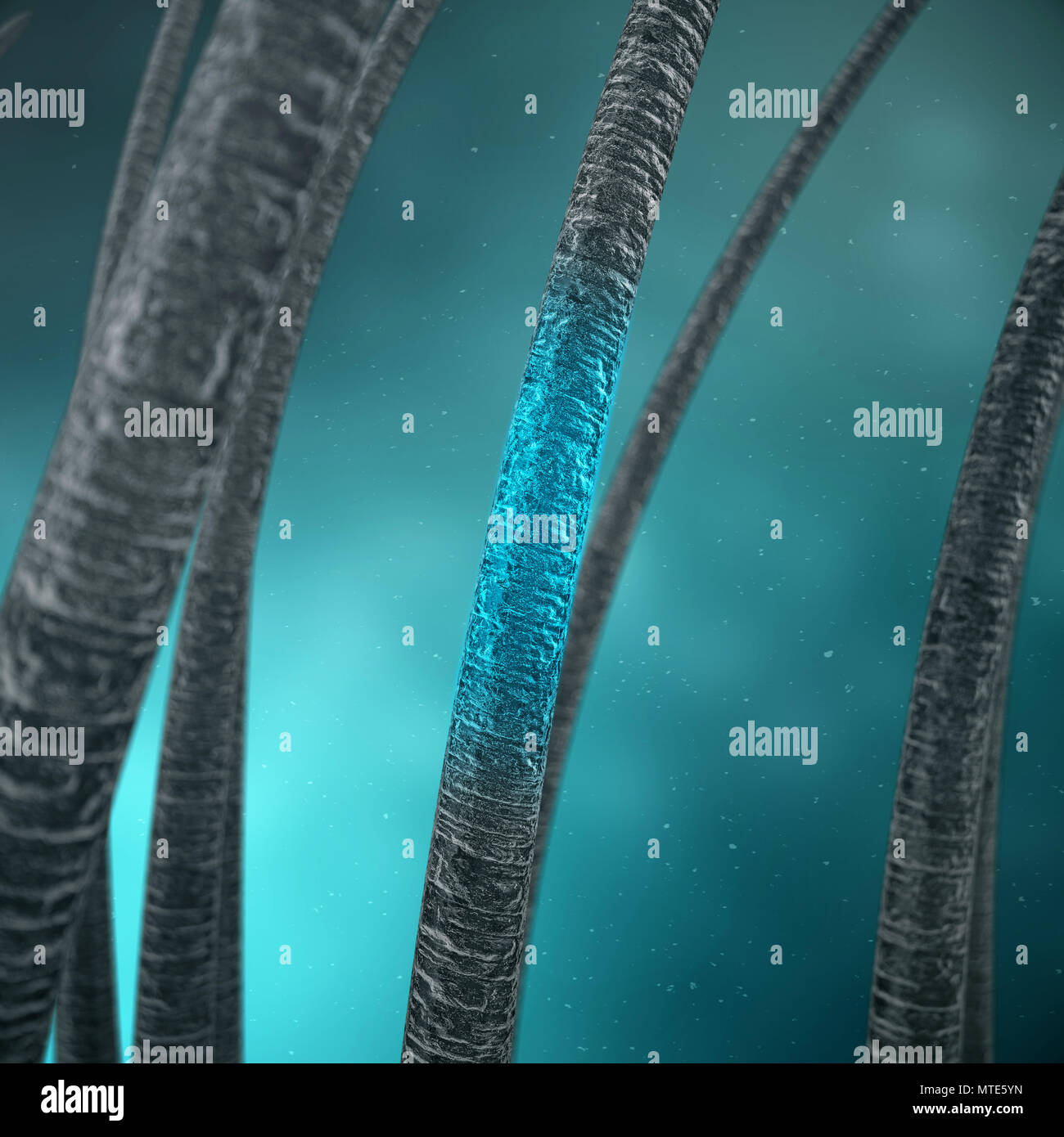 3D Rendering hair keratin strengthening, hair care. Treatment and care ...