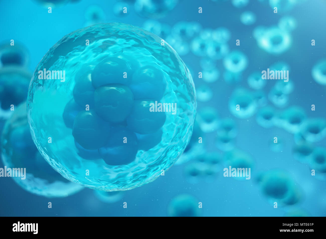 3D Rendering human or animal cells on blue background. Concept Early ...